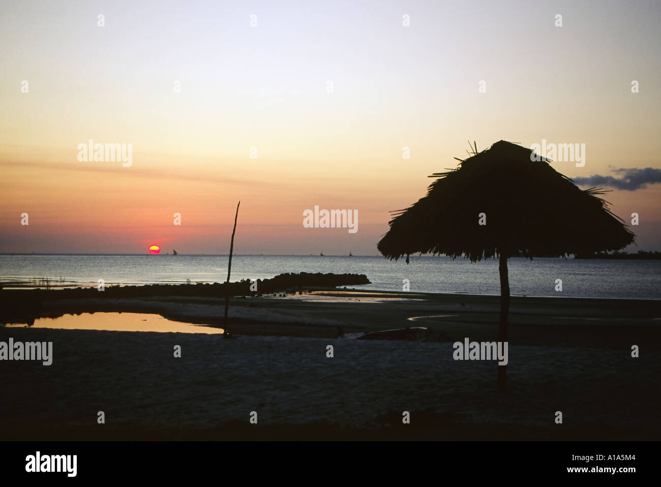Zanzibar sunset at a beach on Zanzibar island Tanzania Stock Photo - Alamy