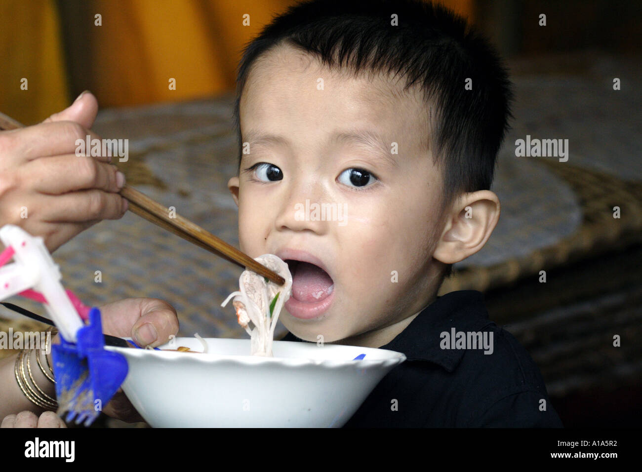 Mother feeds baby noodles in the Mekong Delta, Vietnam Stock Photo - Alamy