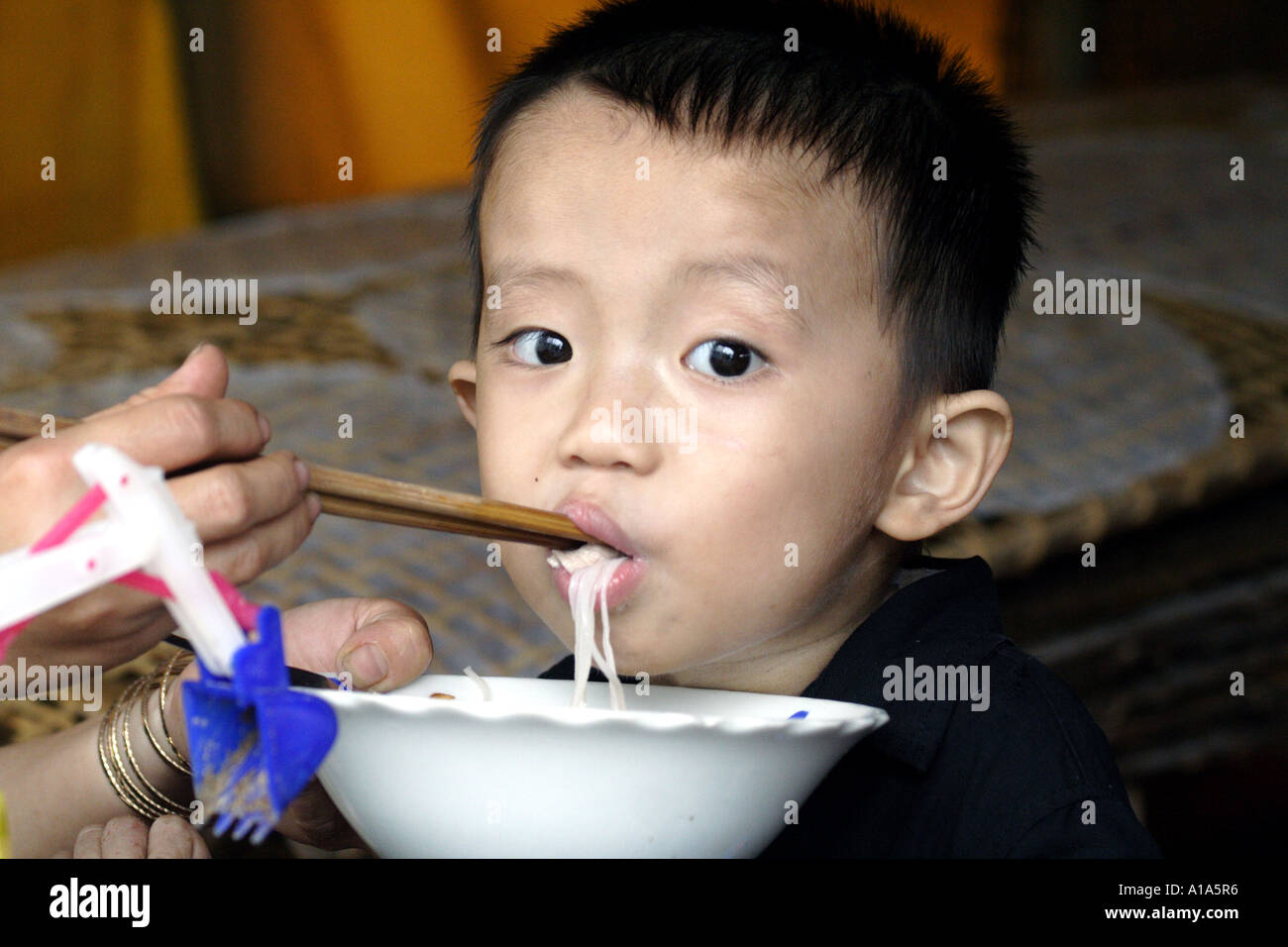 Mother feeds baby noodles in the Mekong Delta, Vietnam Stock Photo - Alamy