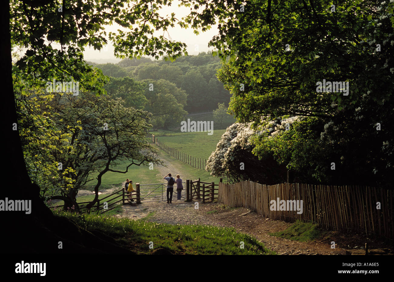 Country footpath to Japanese Gardens Rivington Lancashire England Stock ...