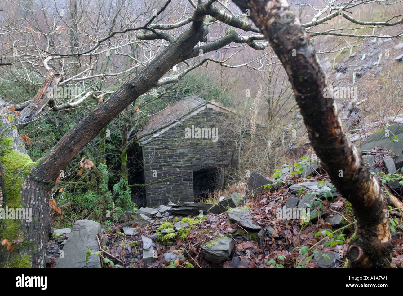 Old building among trees in corner of slate quarry hi-res stock ...