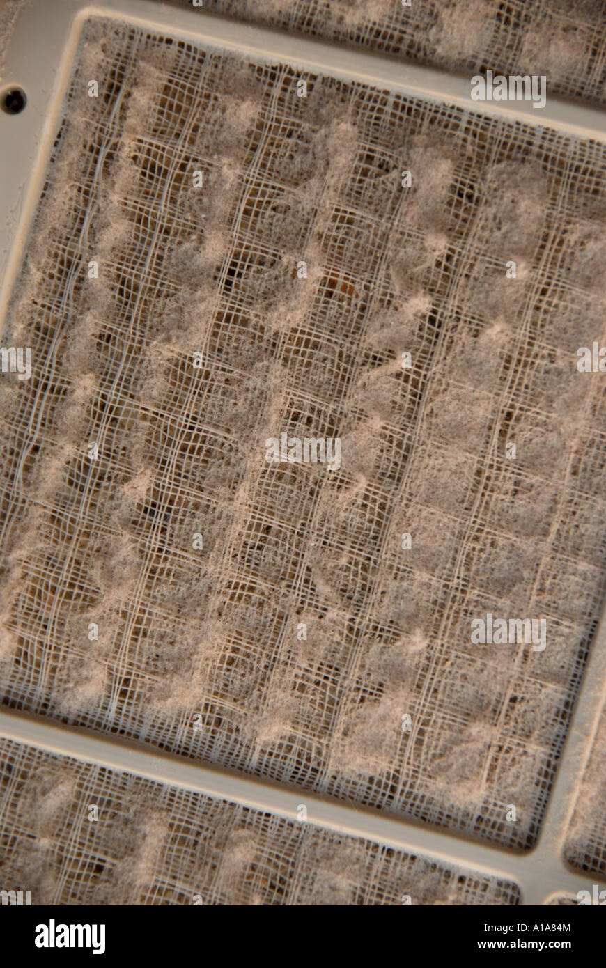 Air Conditioner filter dirty filthy thick heavy lint buildup Stock ...