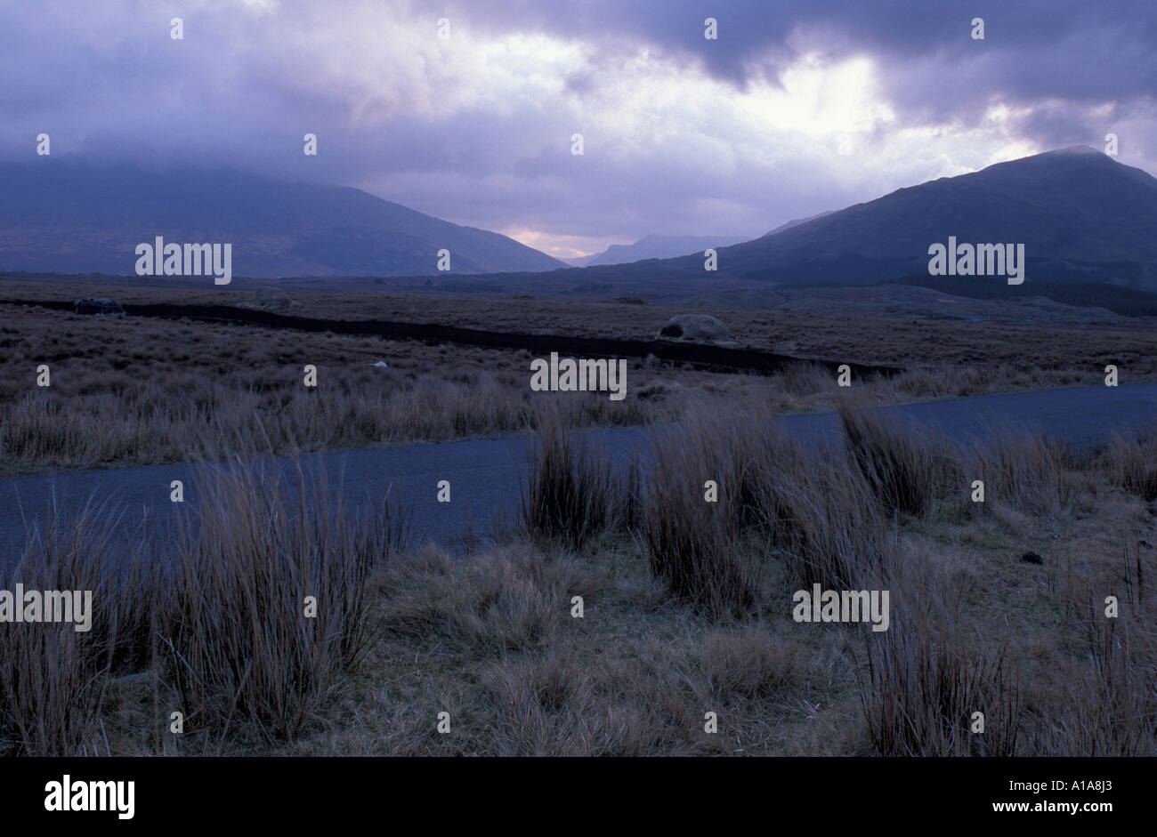 Scorched grass ireland hi-res stock photography and images - Alamy