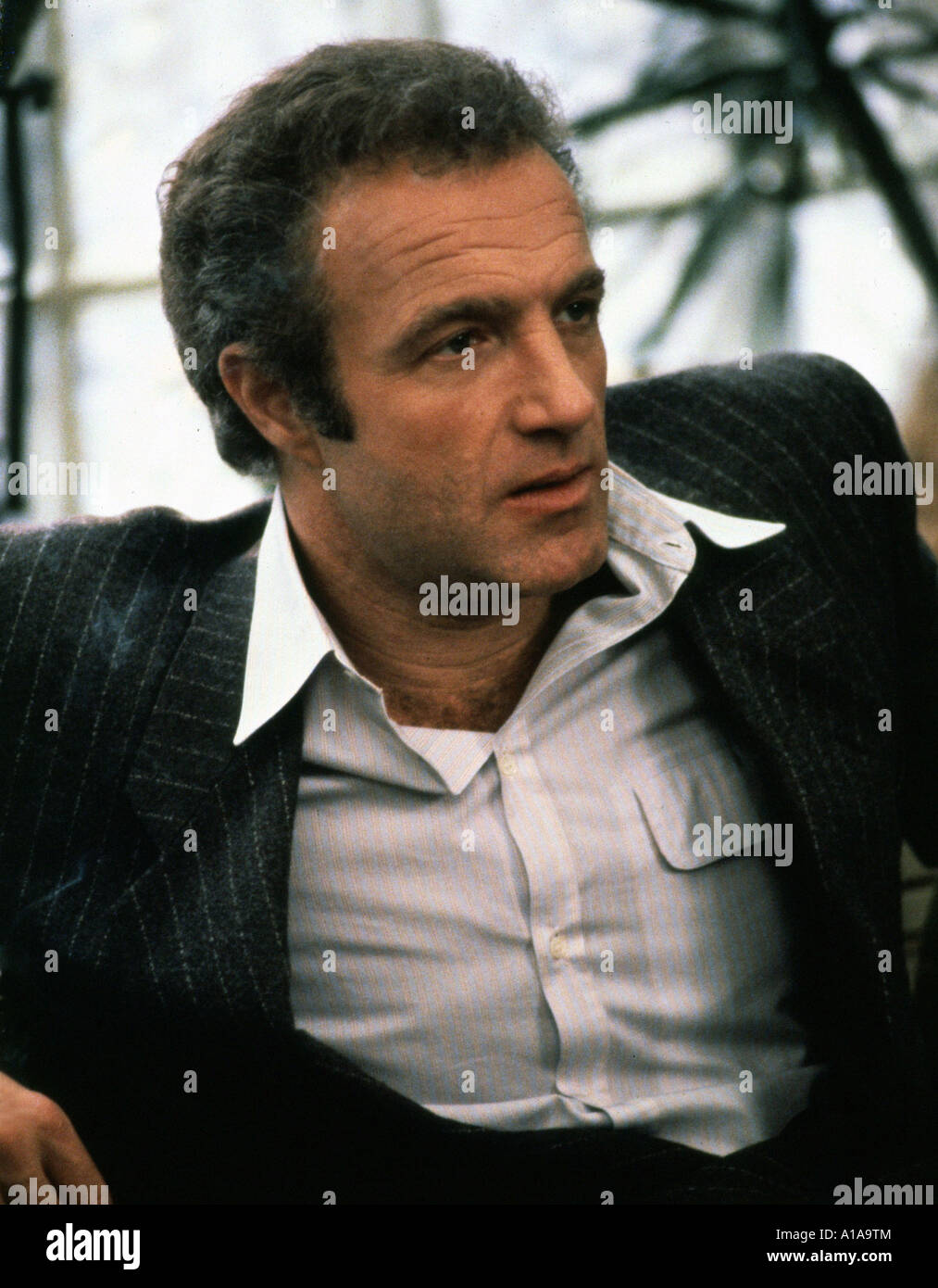 Thief Year 1981 Director Michael Mann James Caan Stock Photo - Alamy