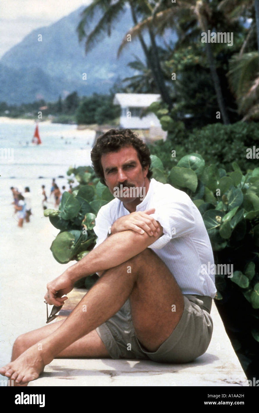 Tom selleck magnum hi-res stock photography and images - Alamy