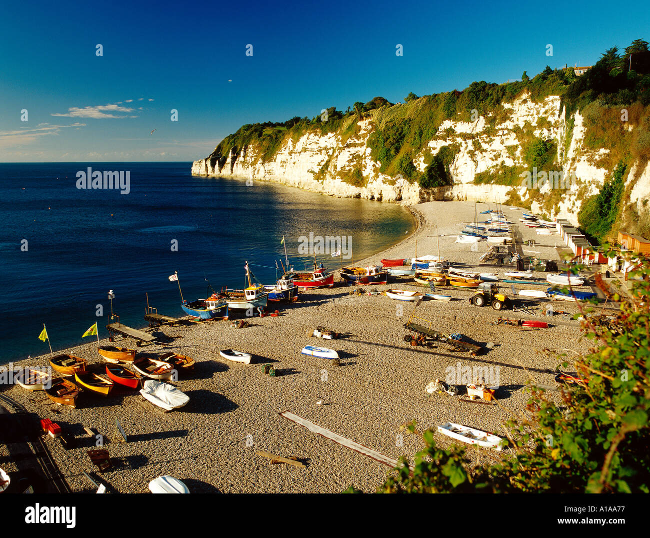 The Beach at Beer Devon UK Stock Photo - Alamy