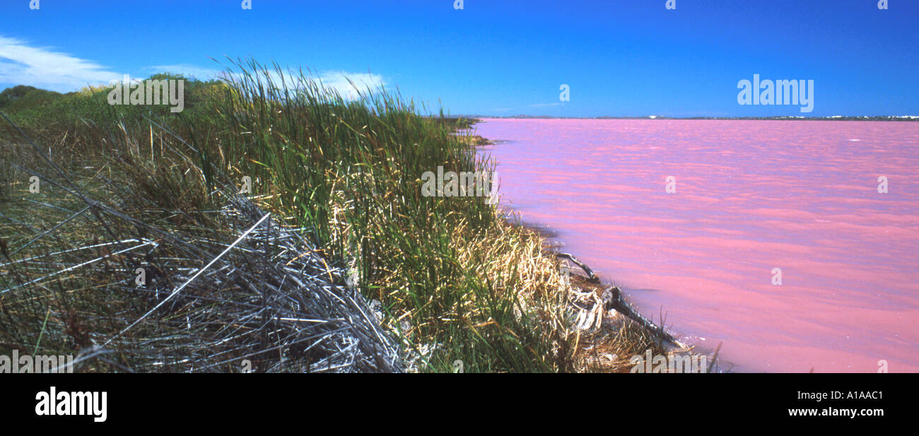 Pink lake at Port gregory Western Australia 2 Stock Photo - Alamy