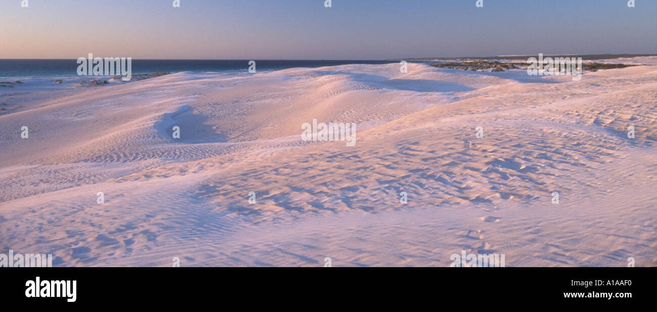 Dune country Wedge island Western australia 1 Stock Photo - Alamy