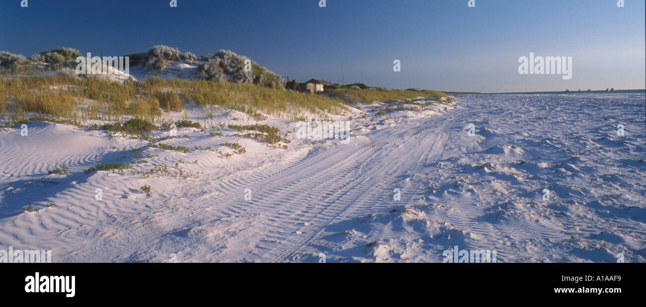Dune country Wedge island Western australia 9 Stock Photo - Alamy