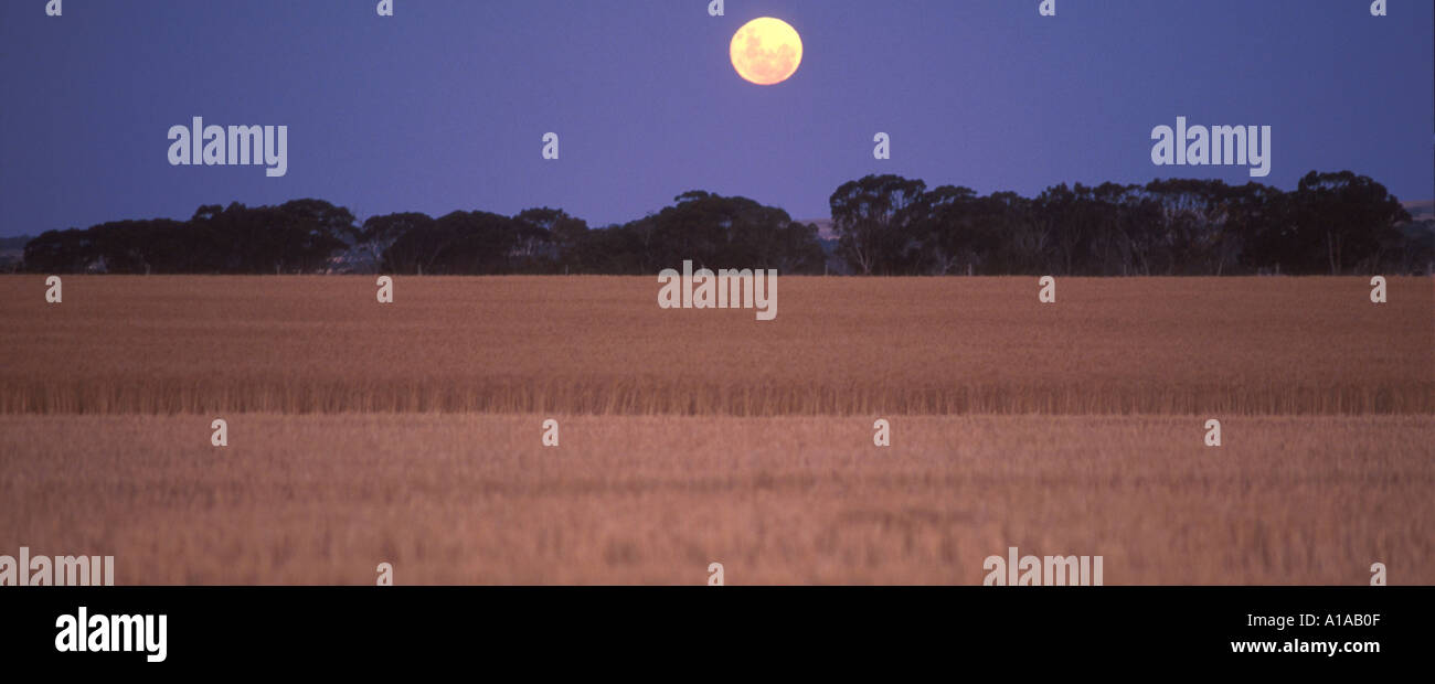 Australian moonrise hi-res stock photography and images - Alamy