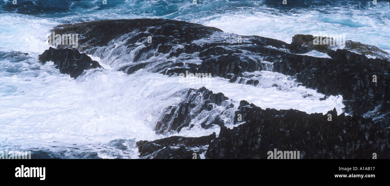 Blackpoint hi-res stock photography and images - Alamy