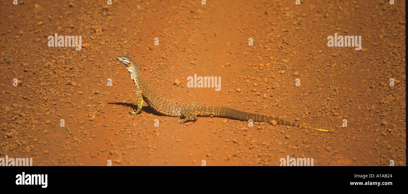 Pilbara australia orange hi-res stock photography and images - Alamy