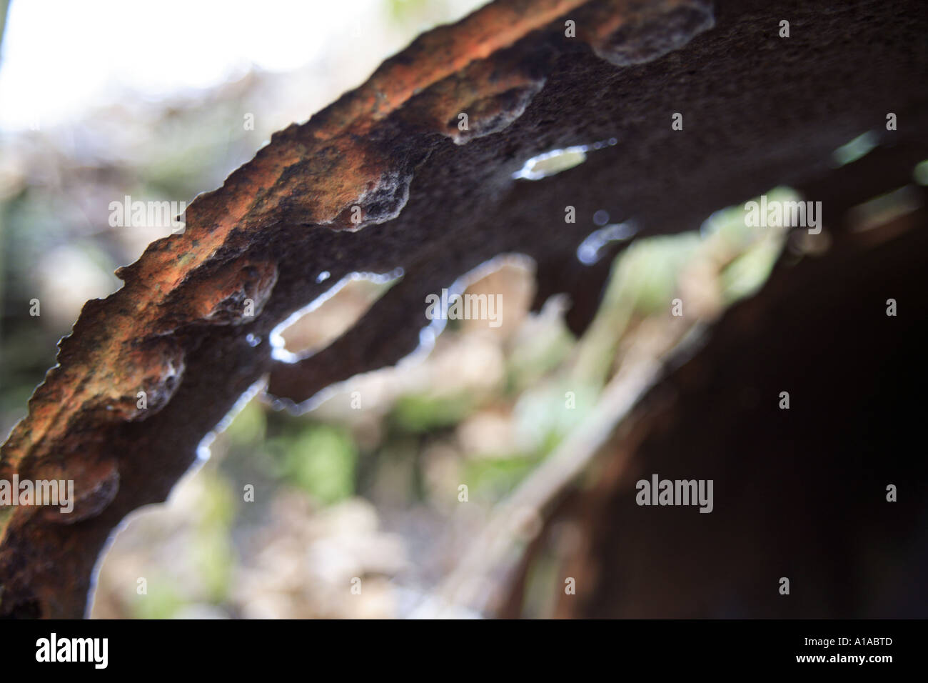 Please refer to description box for caption Stock Photo - Alamy