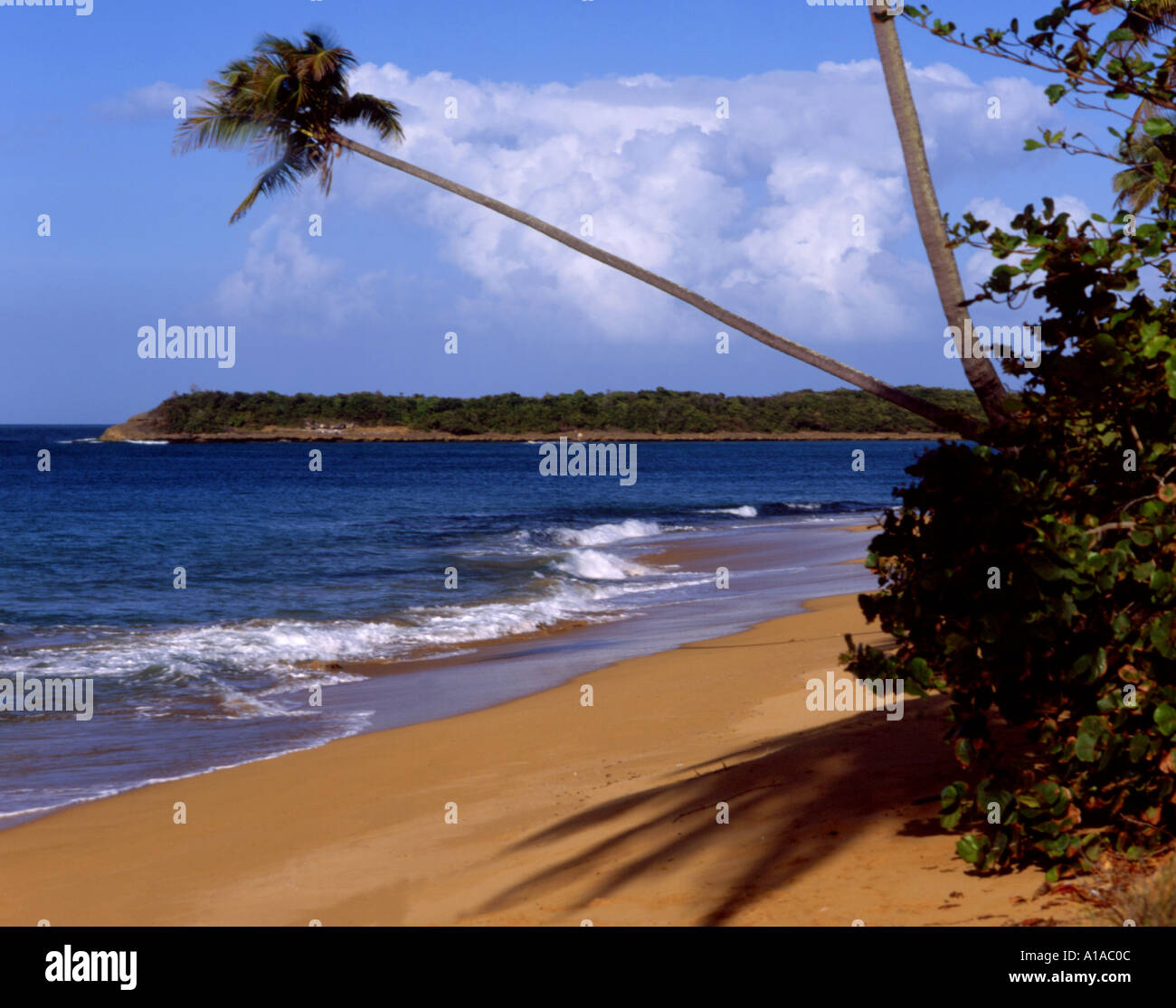 Palmitas hi-res stock photography and images - Alamy