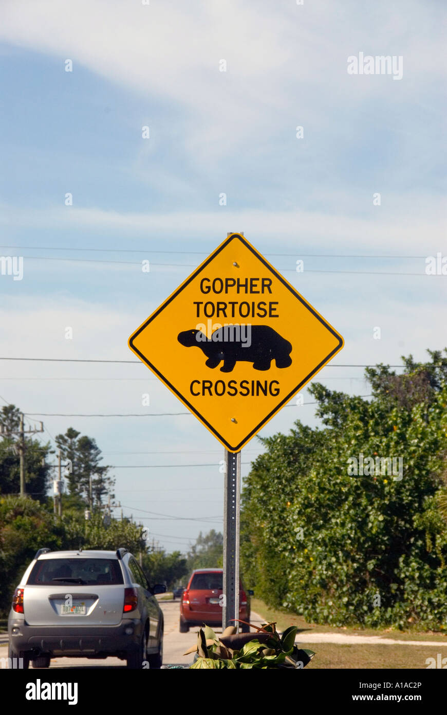 Gopher tortoise crossing sign hi-res stock photography and images - Alamy