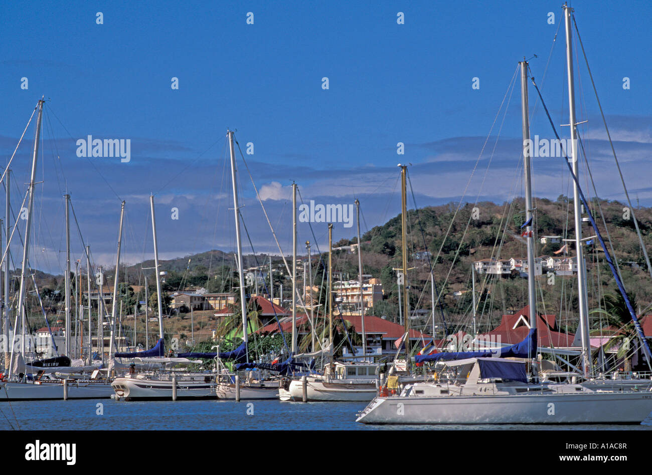 St Lucia sailboats Rodney Bay sailing yachting Stock Photo - Alamy