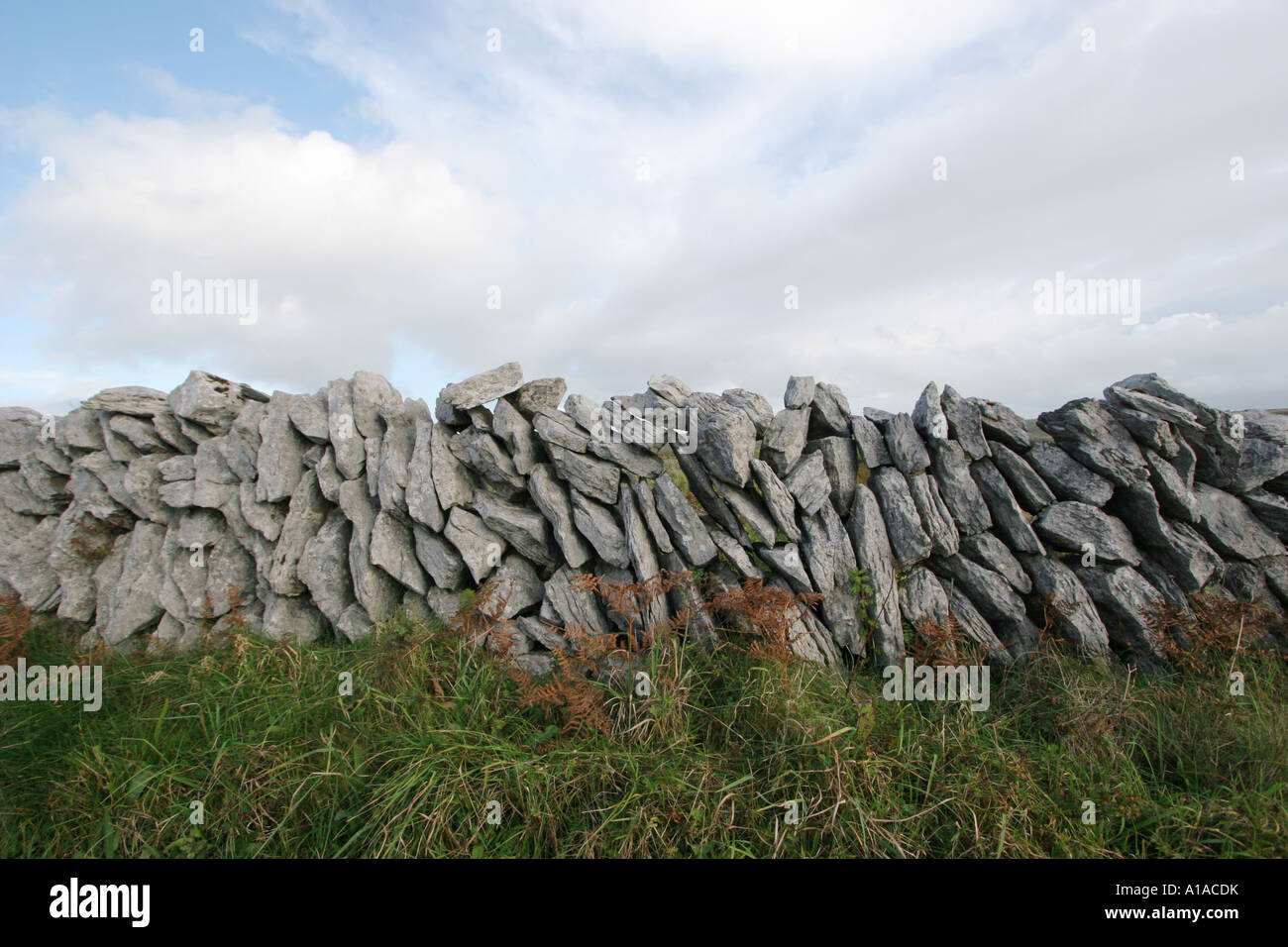 Stone-wall at the Burren , Clare , Munster , Ireland , Europe Stock ...