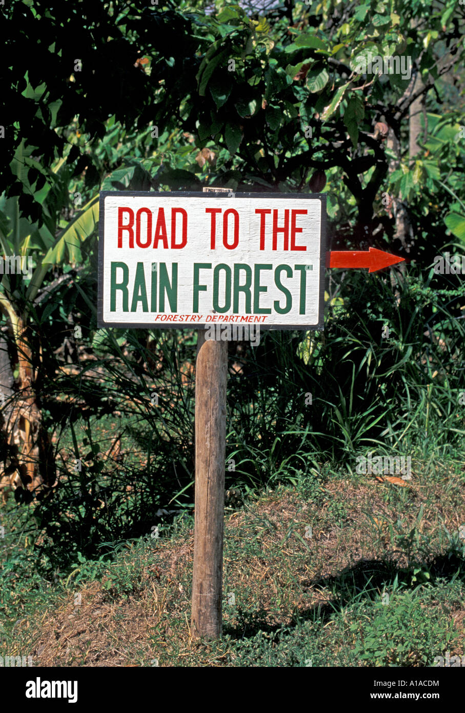 St Lucia sign Road To The Rain Forest Stock Photo - Alamy