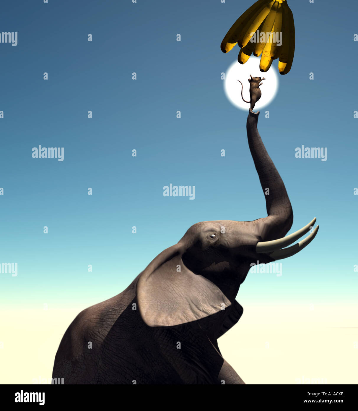 Symbolic illustration showing teamwork between an elephant and a mouse ...