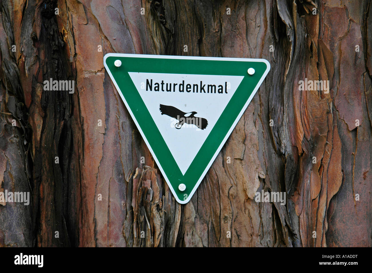Sign Naturdenkmal, natural monument, tree trunk Stock Photo - Alamy