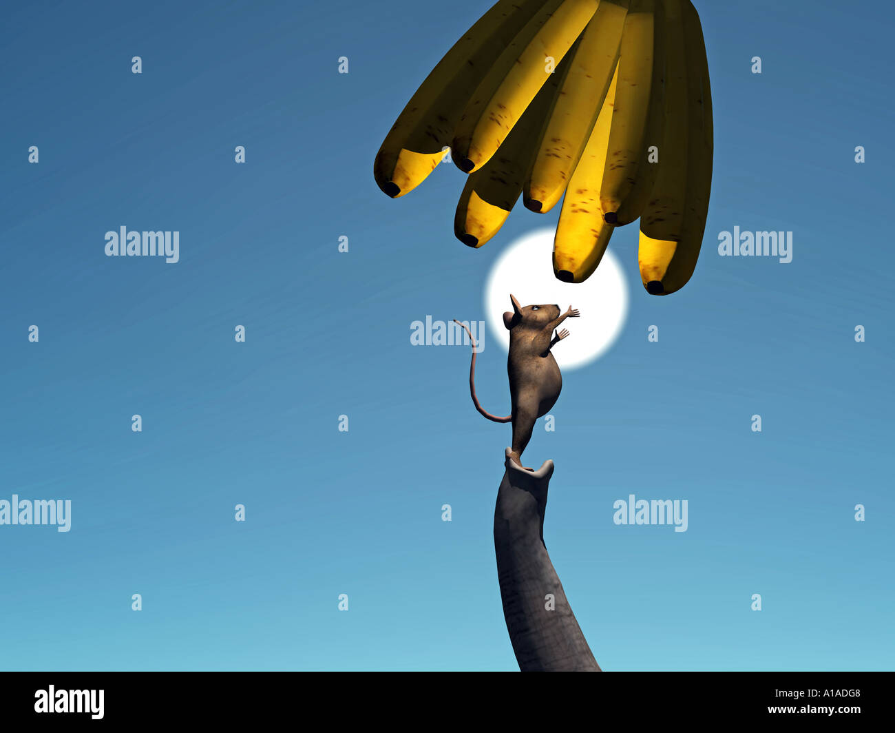 Symbolic illustration showing teamwork between an elephant and a mouse ...