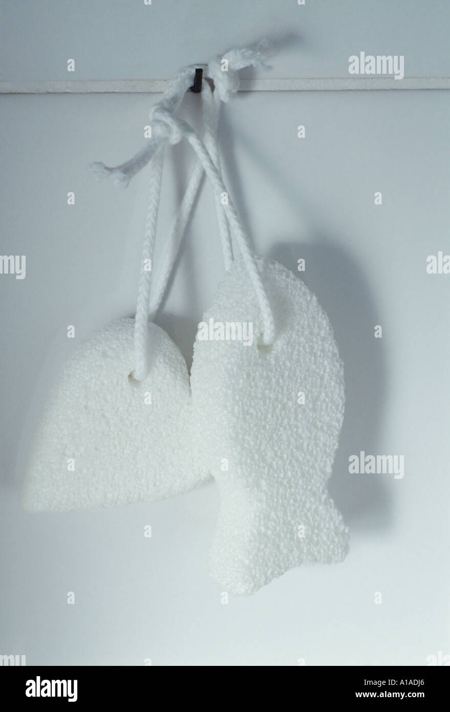 White sponge shapes Stock Photo - Alamy