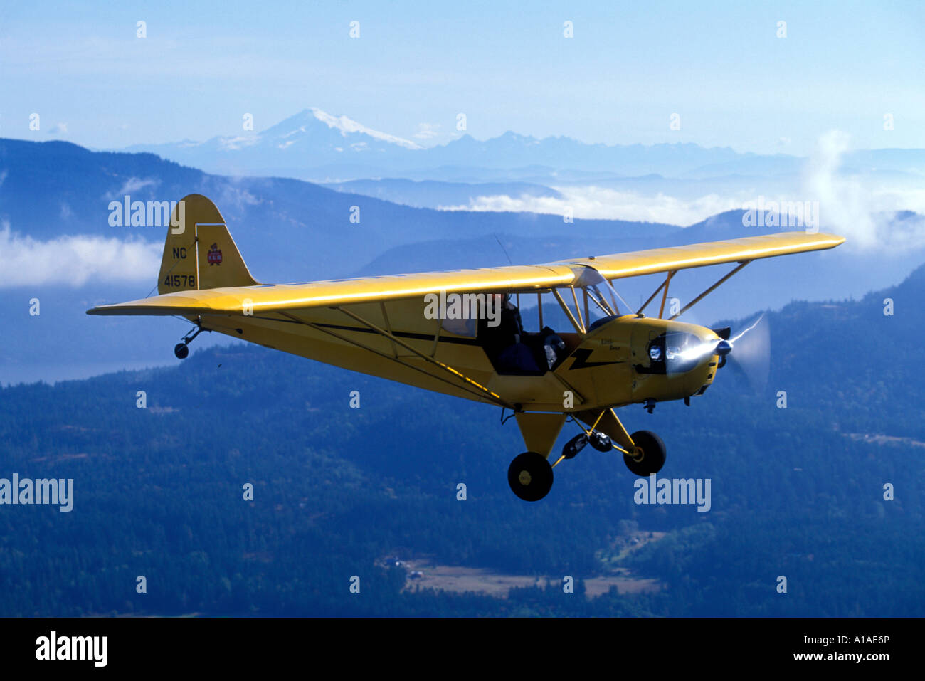 USA Washington Author Richard Bach pilots his Piper Cub in early ...