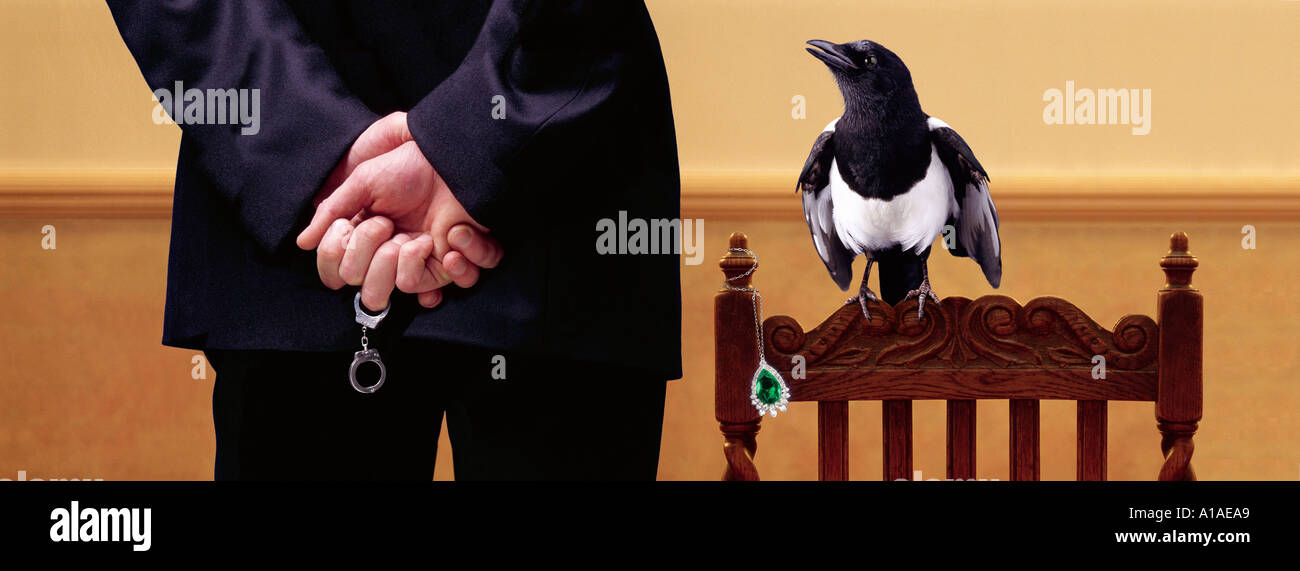 Thieving High Resolution Stock Photography and Images - Alamy