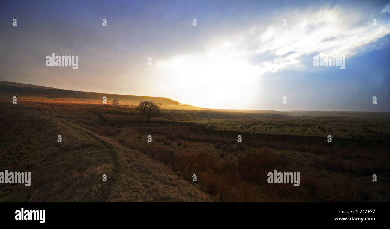 Cheesden hi-res stock photography and images - Alamy