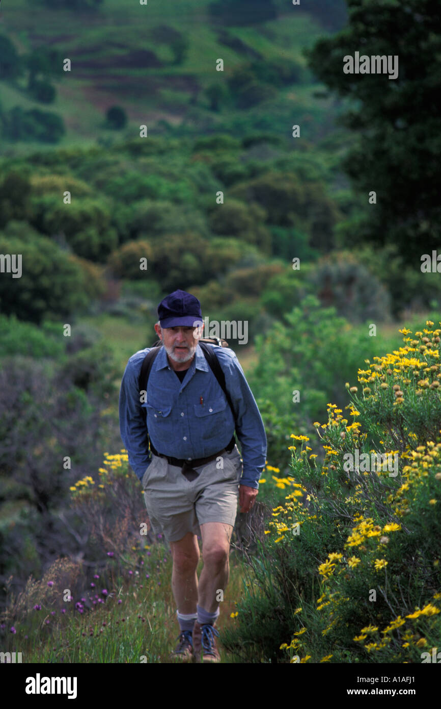 California, Mt Diablo, Hiker on Mt Olympia, with Spring flowers Stock ...