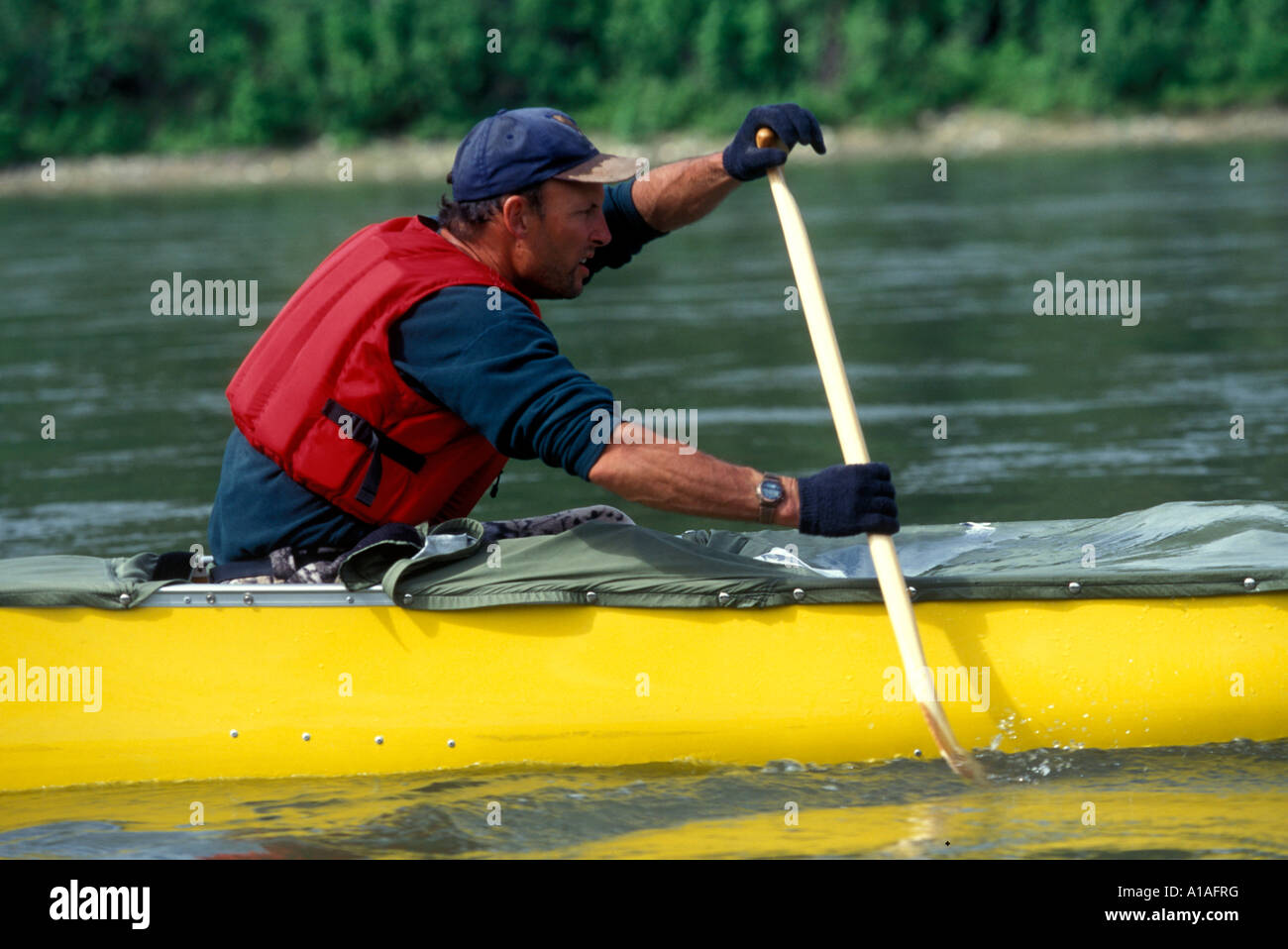 Canada Yukon Territory Paddler on Yukon River during Dyea to Dawson ...