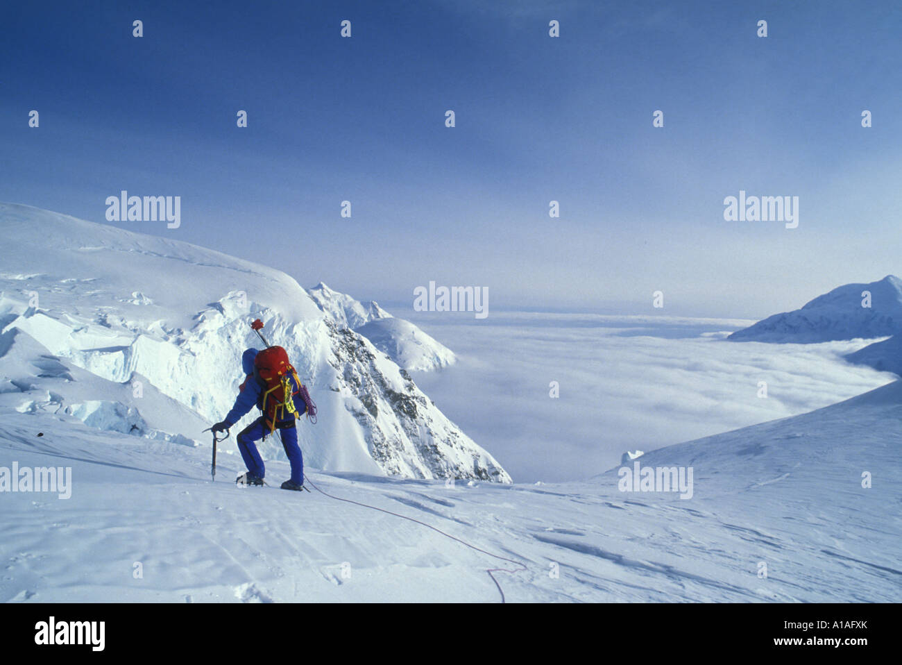 USA Alaska Denali National Park MR Rudiger Stuiss peers out from Windy ...