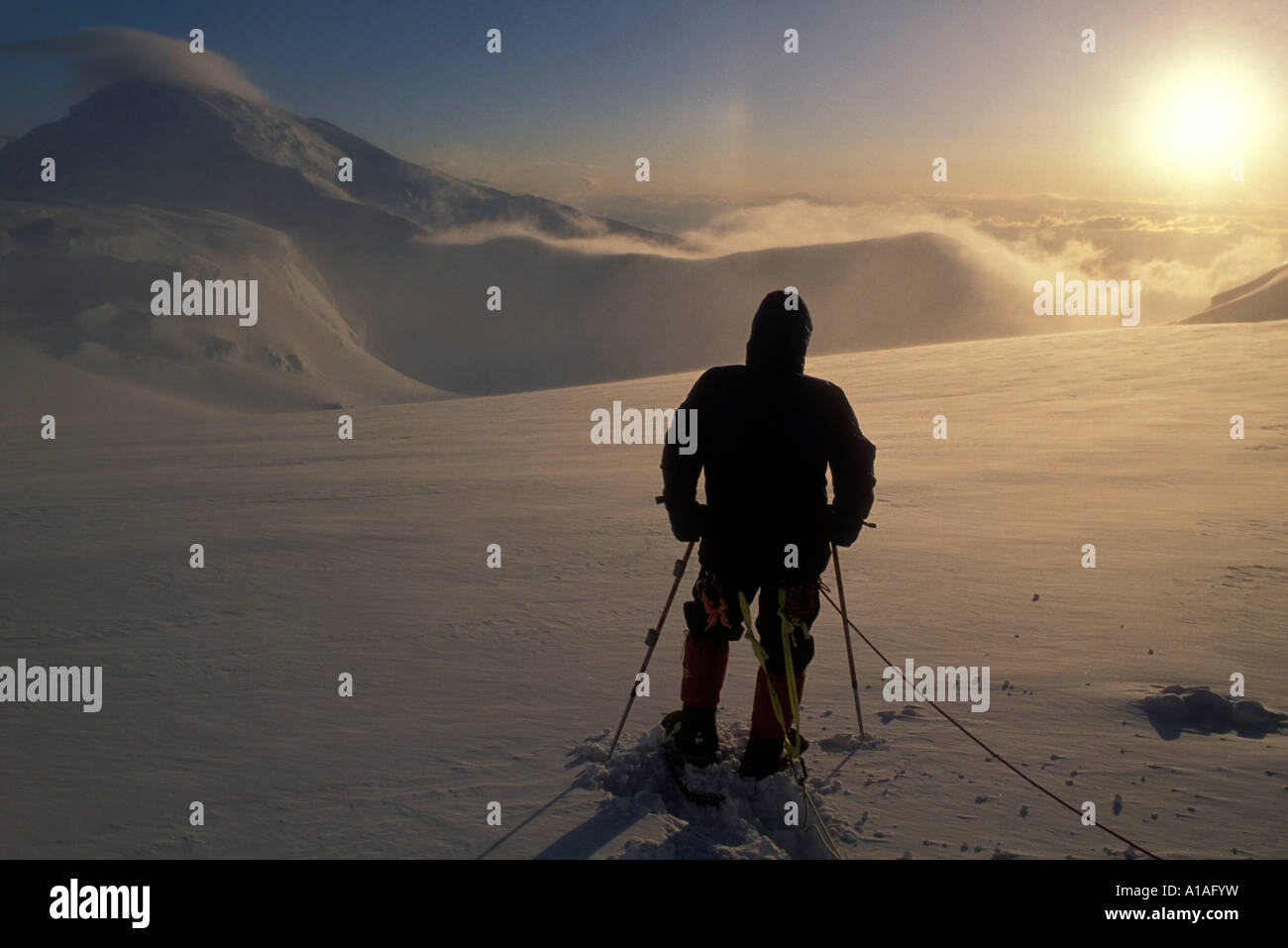 USA Alaska Denali National Park MR Rick Ford watches sunset on Kahiltna ...