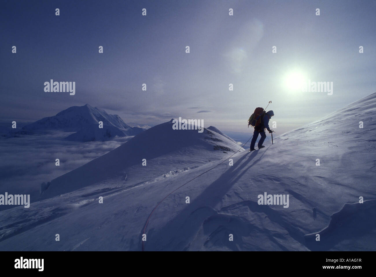 USA Alaska Denali National Park MR Rudiger Stuiss on slopes above Windy ...