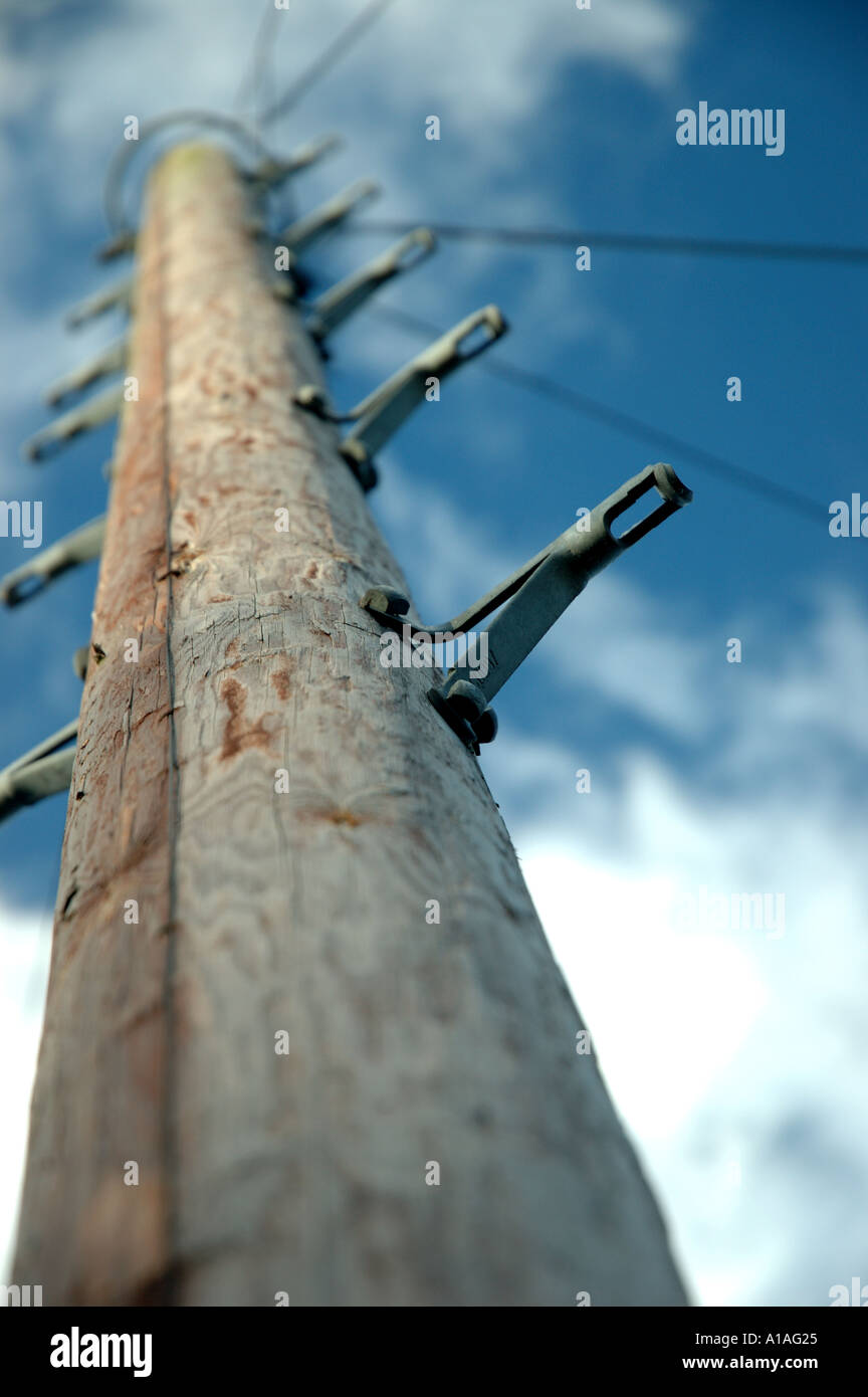 Ladder and telegraph pole hi-res stock photography and images - Alamy