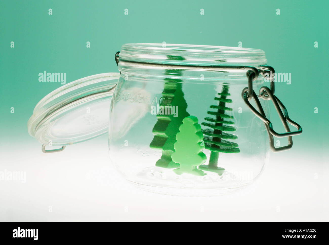 Miniature Trees in Glass Jar Stock Photo - Alamy