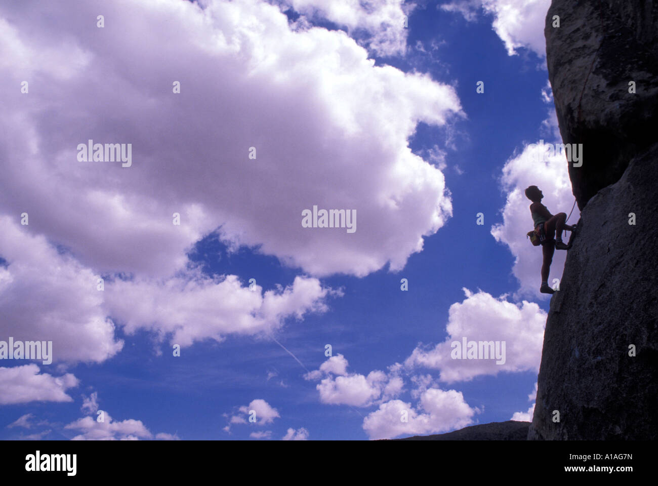 USA California MR Don Frank climbs vertical rock wall in Joshua Tree ...