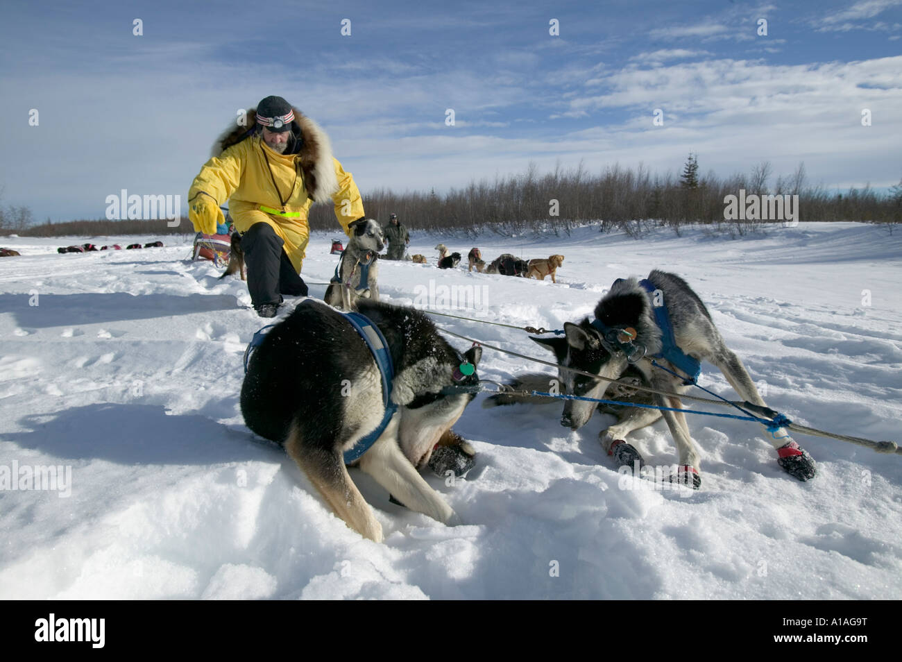 Charlie boulding hi-res stock photography and images - Alamy
