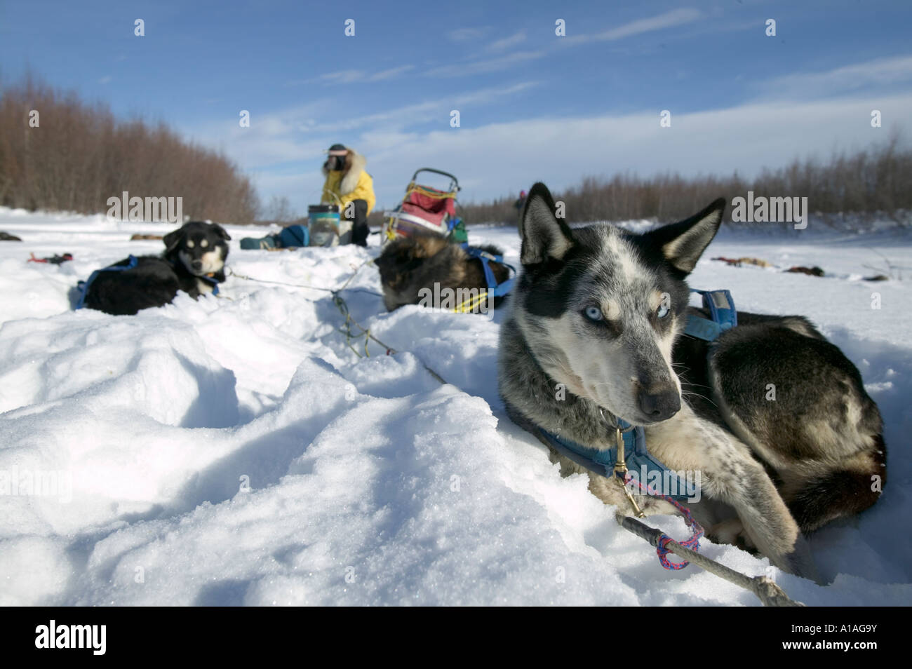 Charlie boulding hi-res stock photography and images - Alamy