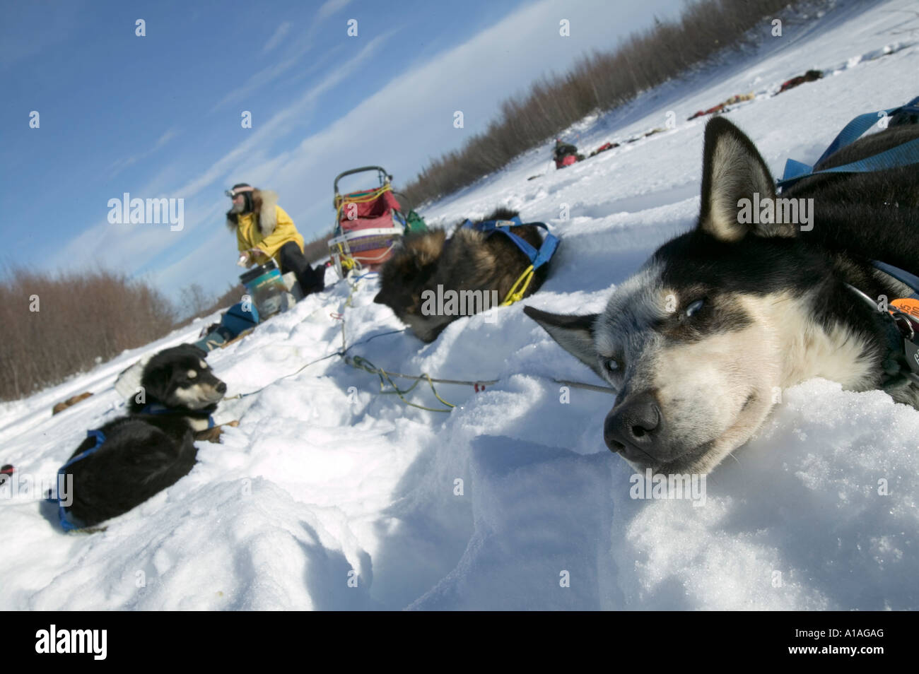 Charlie boulding hi-res stock photography and images - Alamy
