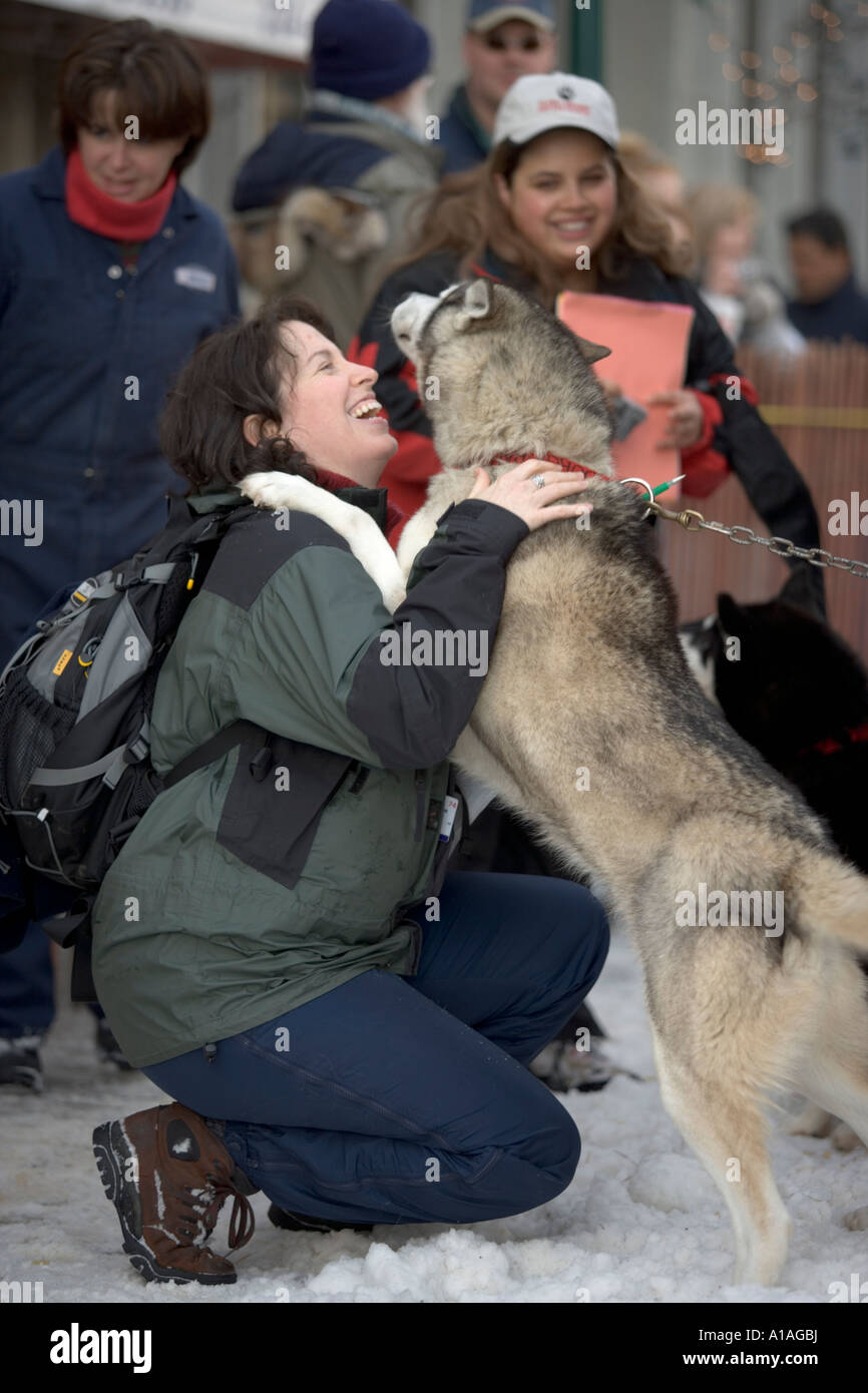 USA Alaska Anchorage Race fan plays in snow with racing dog before ...