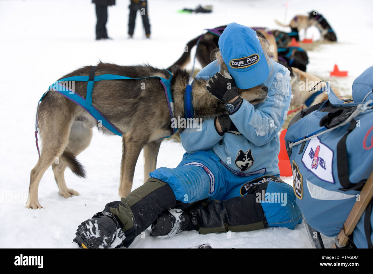 USA Alaska Musher Dee Dee Jonrowe hugs one of her dogs on snow covered ...