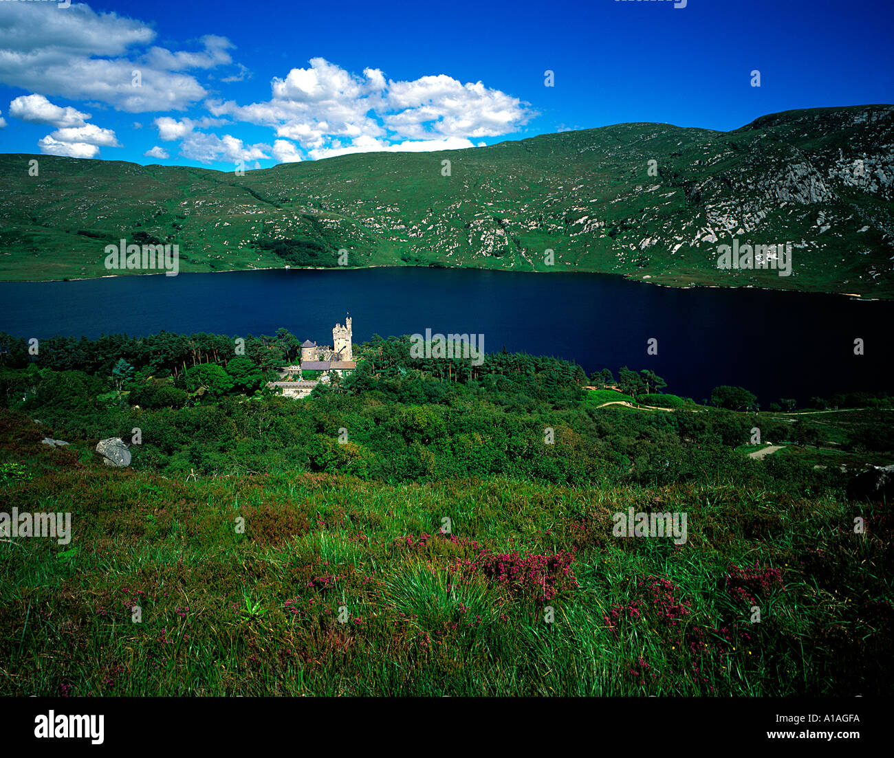 Beagh Castle Stock Photos & Beagh Castle Stock Images - Alamy