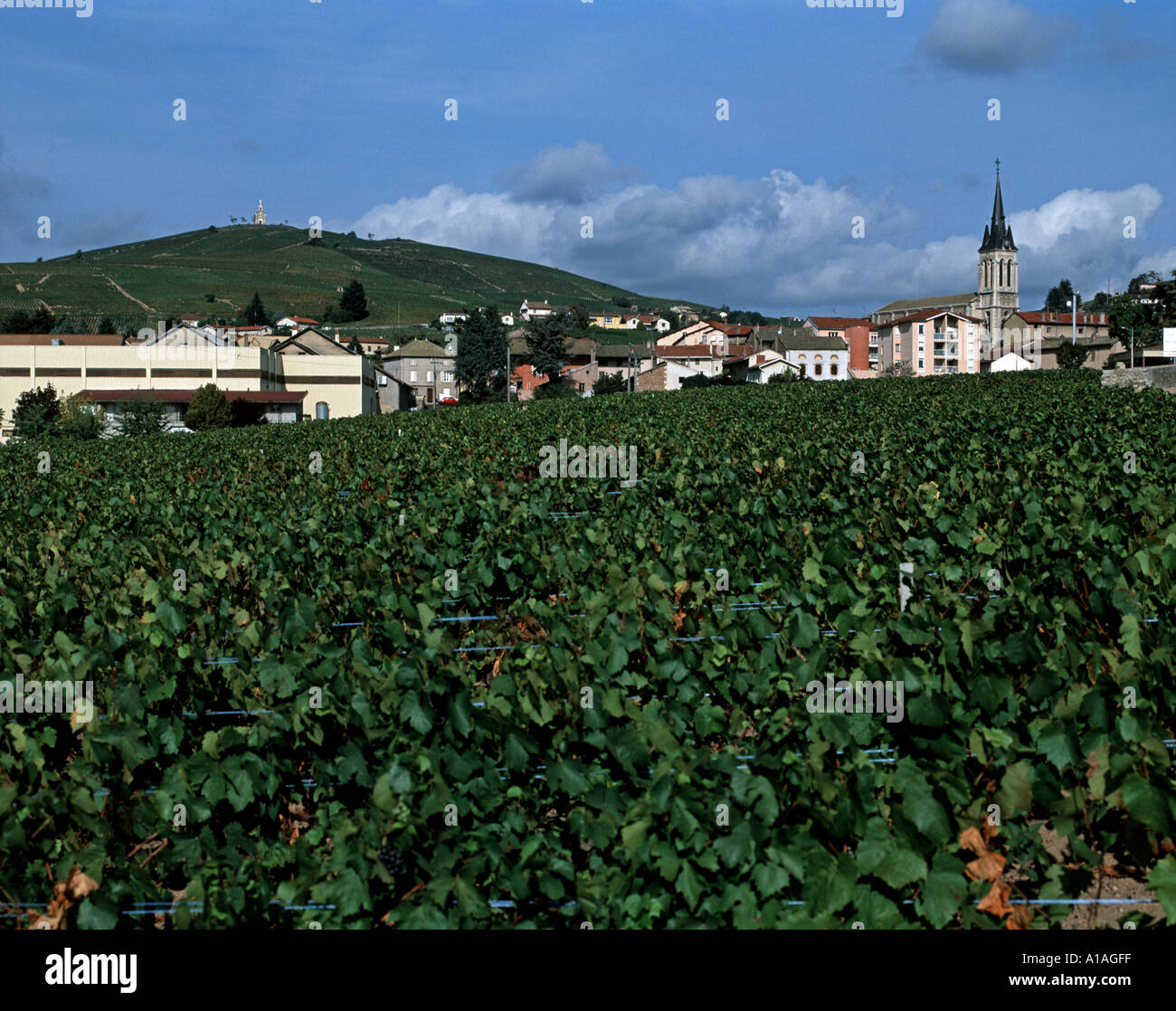 Fleurie France Wine High Resolution Stock Photography and Images - Alamy