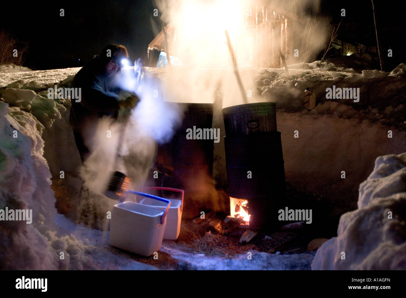 USA Alaska Takotna Musher is shrouded in steam while ladling hot water ...