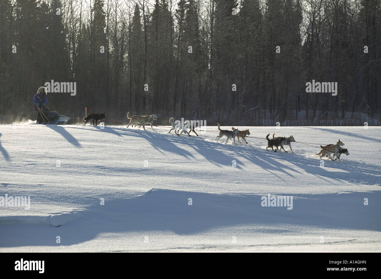 Anvik, Alaska High Resolution Stock Photography and Images - Alamy