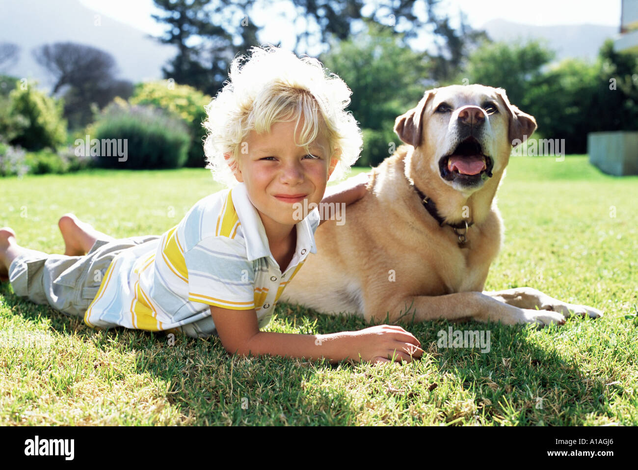 Boy with labrador Stock Photo - Alamy