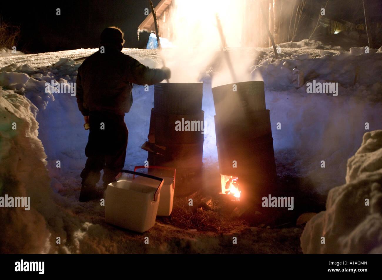 USA Alaska Takotna Musher is shrouded in steam while gathering hot ...