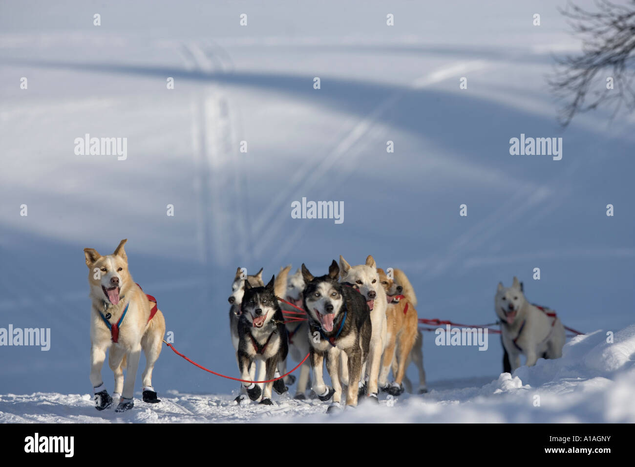 Anvik, alaska hi-res stock photography and images - Alamy