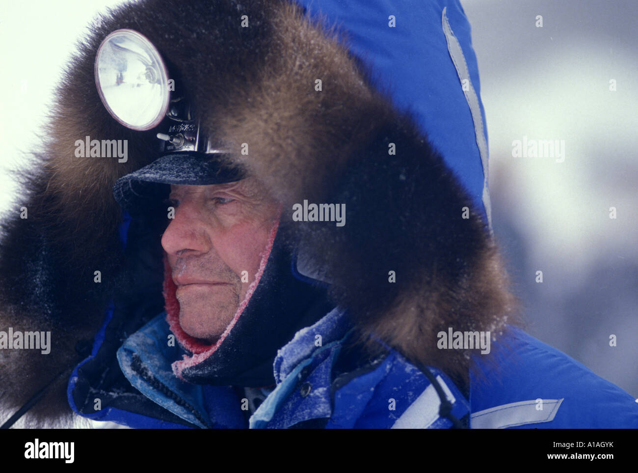 USA Alaska Iditarod Founder Joe Redington stands in blizzard after ...